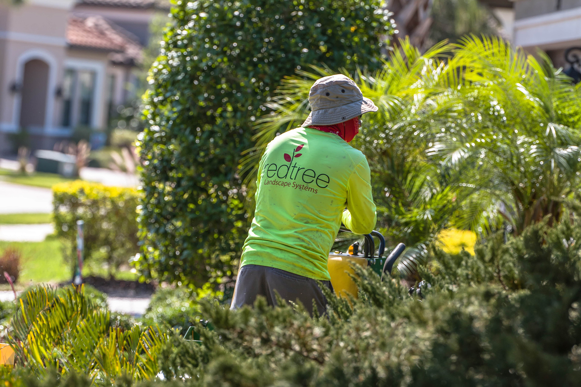 Gallery | Red Tree Landscape Systems