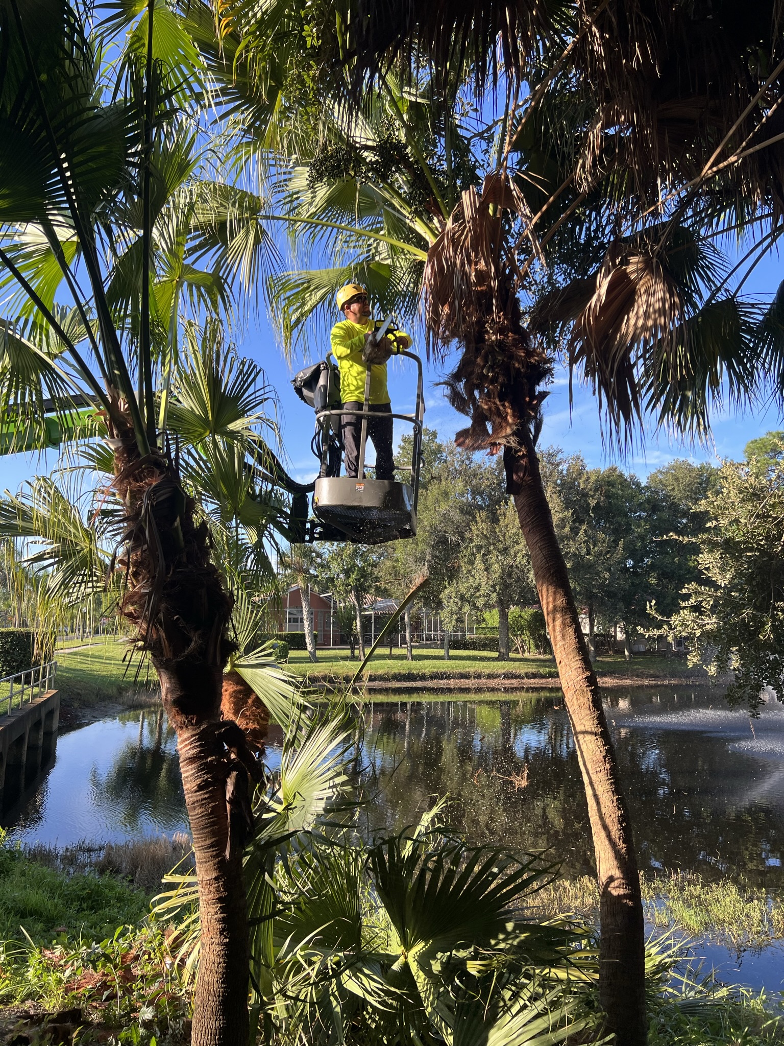 Gallery | Red Tree Landscape Systems