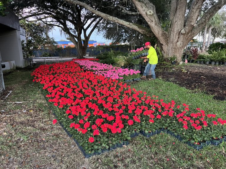 Gallery | Red Tree Landscape Systems