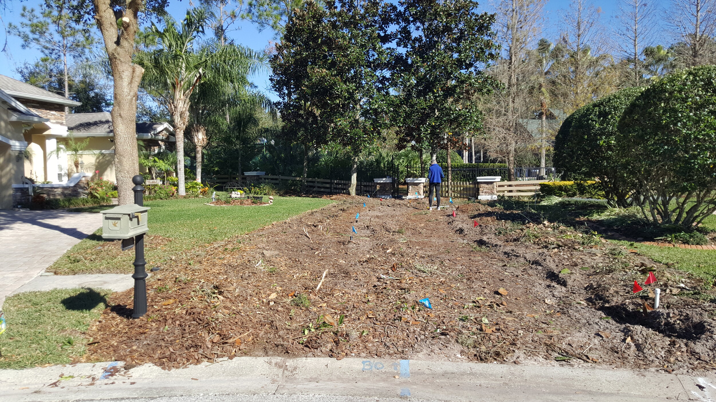 Gallery | Red Tree Landscape Systems