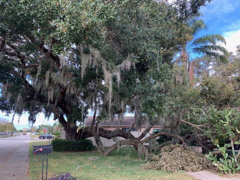 Gallery – Redtree Landscape Systems