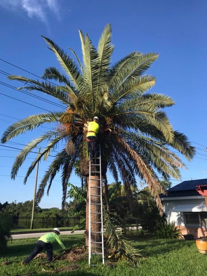 Gallery – Redtree Landscape Systems