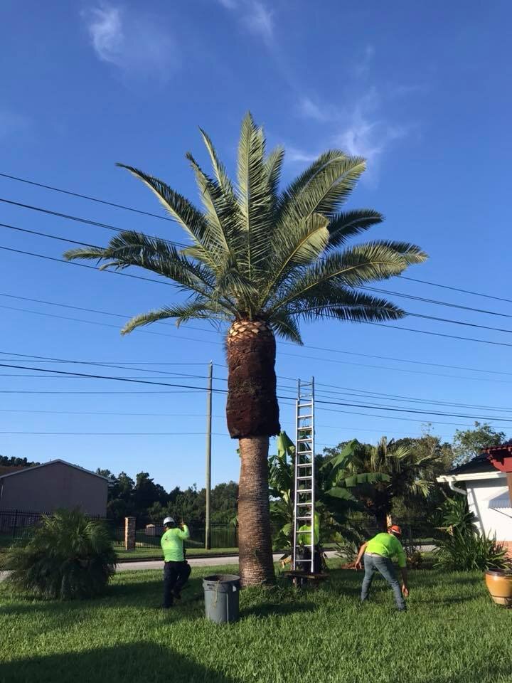 Gallery | Red Tree Landscape Systems