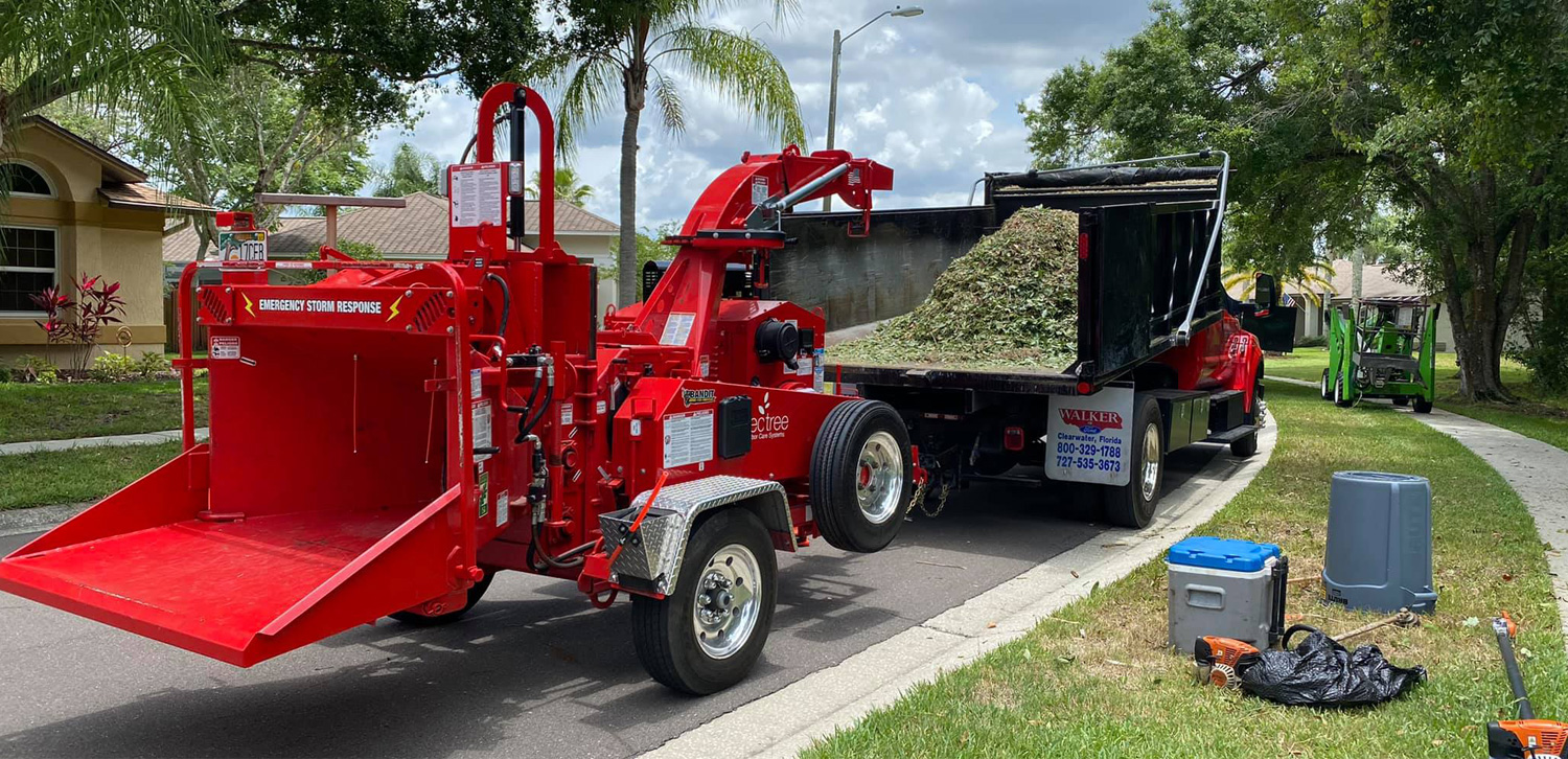 Gallery | Red Tree Landscape Systems