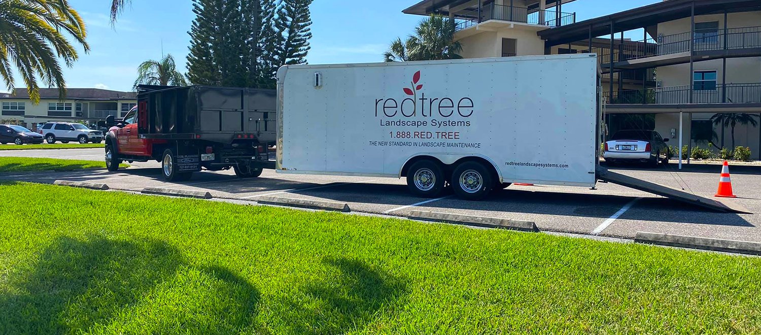 Commercial Landscaping Services Tampa FL | Landscape Maintenance | RedTree Landscape Systems