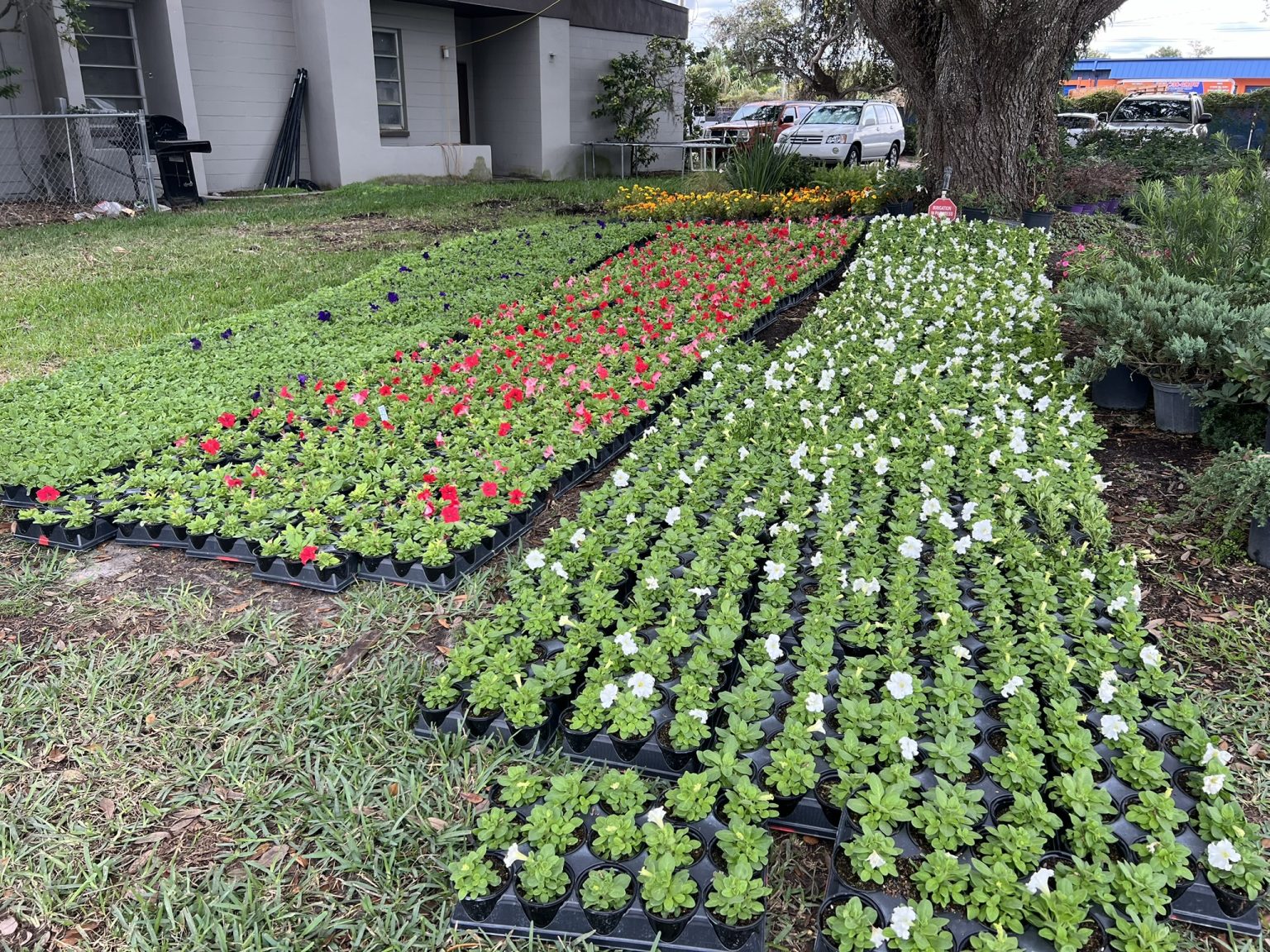 Commercial Landscaping Services Tampa FL | Landscape Maintenance | RedTree Landscape Systems