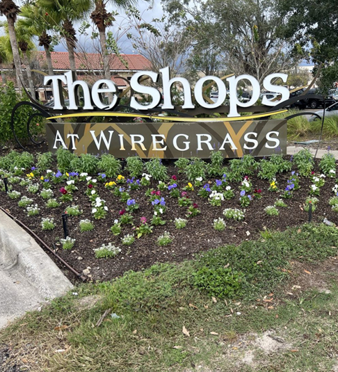 Commercial Landscaping Services Tampa FL | Landscape Maintenance ...