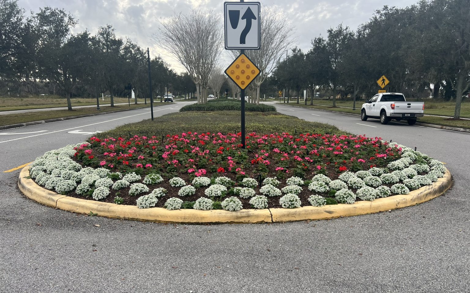 Gallery | Red Tree Landscape Systems