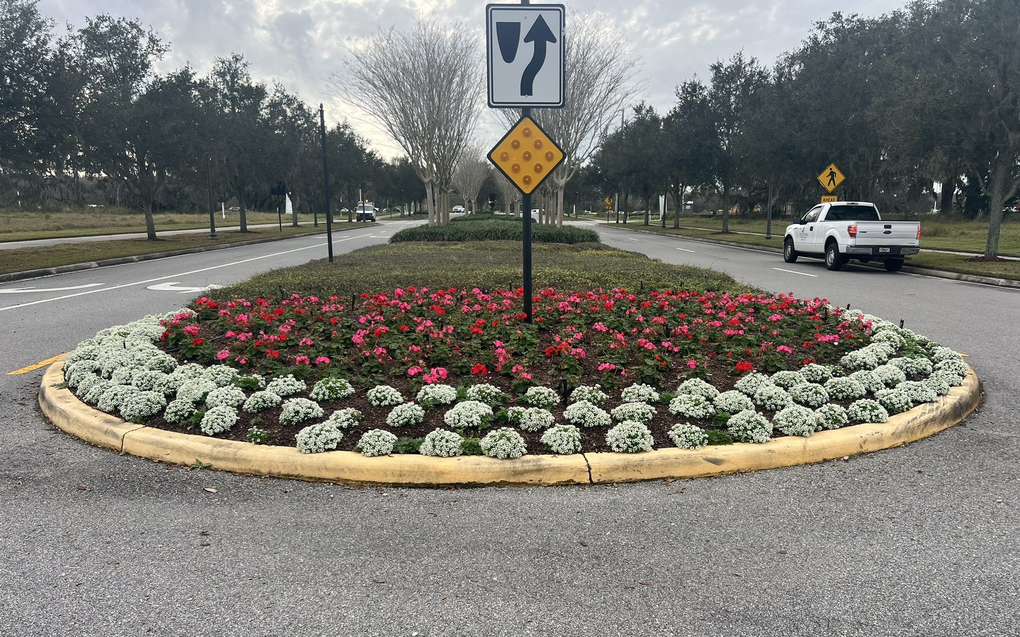 Gallery | Red Tree Landscape Systems